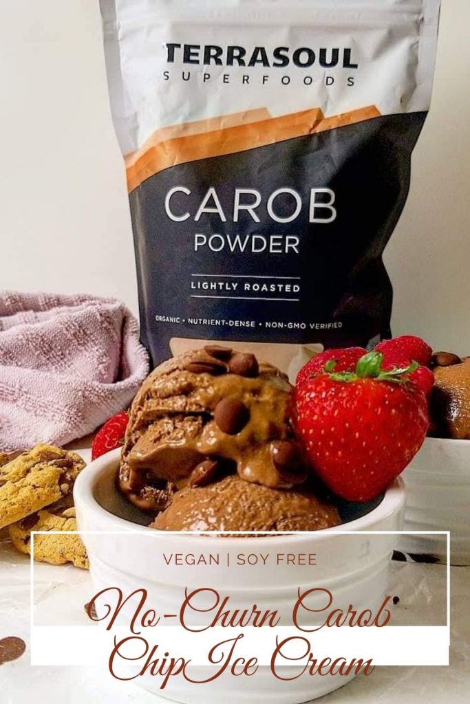 Vegan Carob Chip Ice Cream | Black Allergy Mama