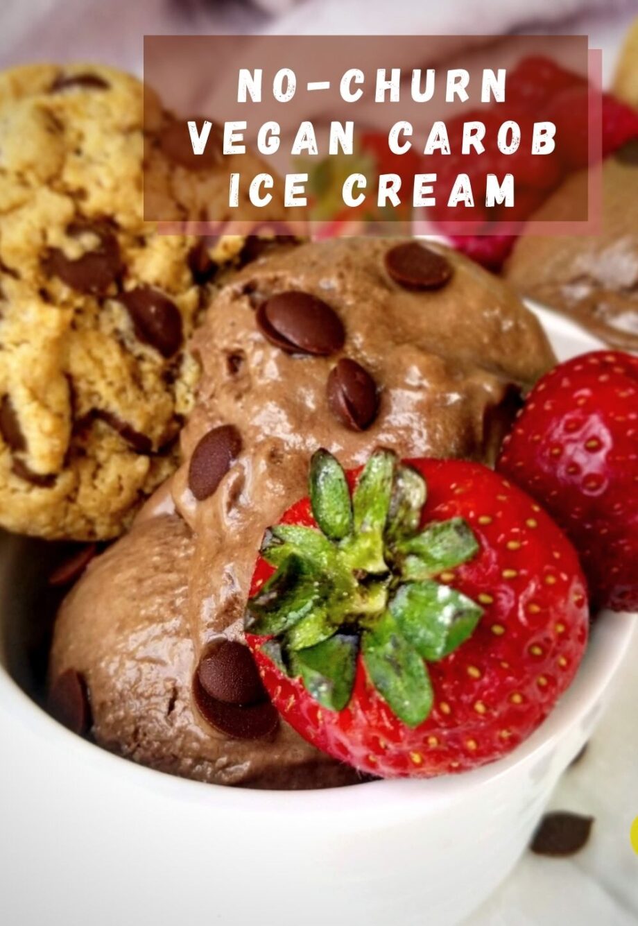 Vegan Carob Chip Ice Cream | Black Allergy Mama